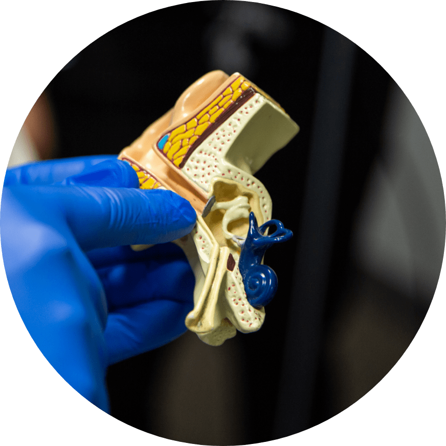 Restore Ear Shape: Expert Care for Ear Deformities | The Ear Center CAES