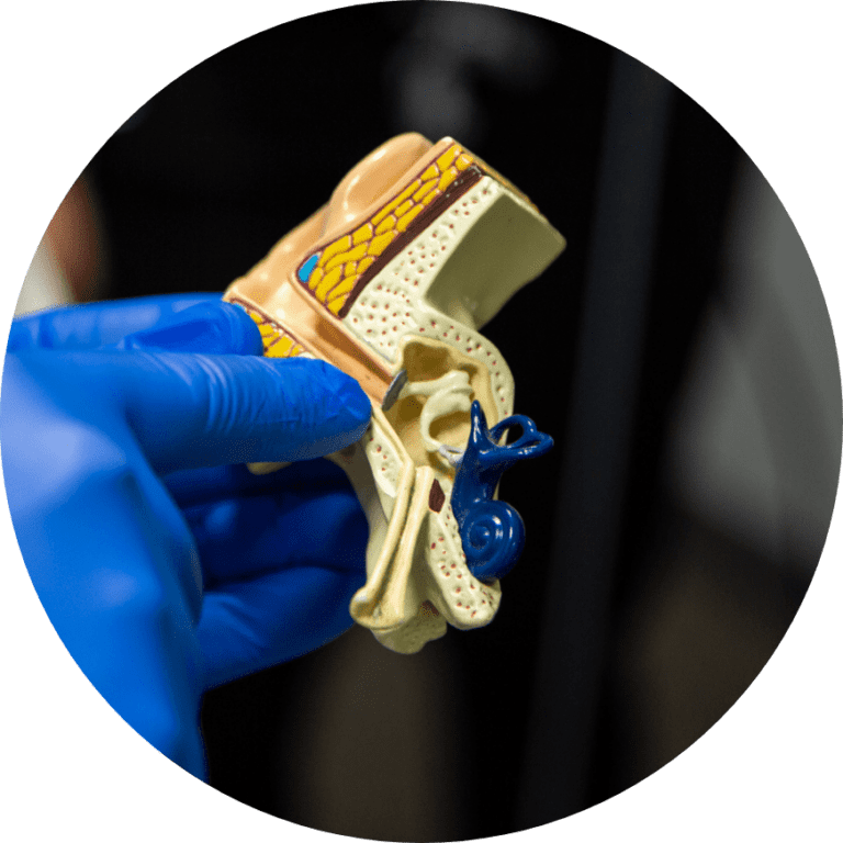 Stapedectomy Surgery by Expert Surgeons | The Ear Center CAES